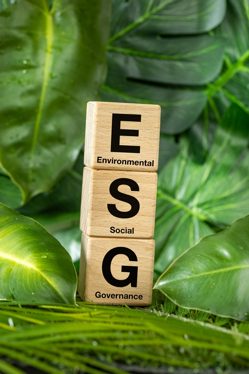 A Sustainable Christmas: How ESG in Food Manufacturing Can Save ...
